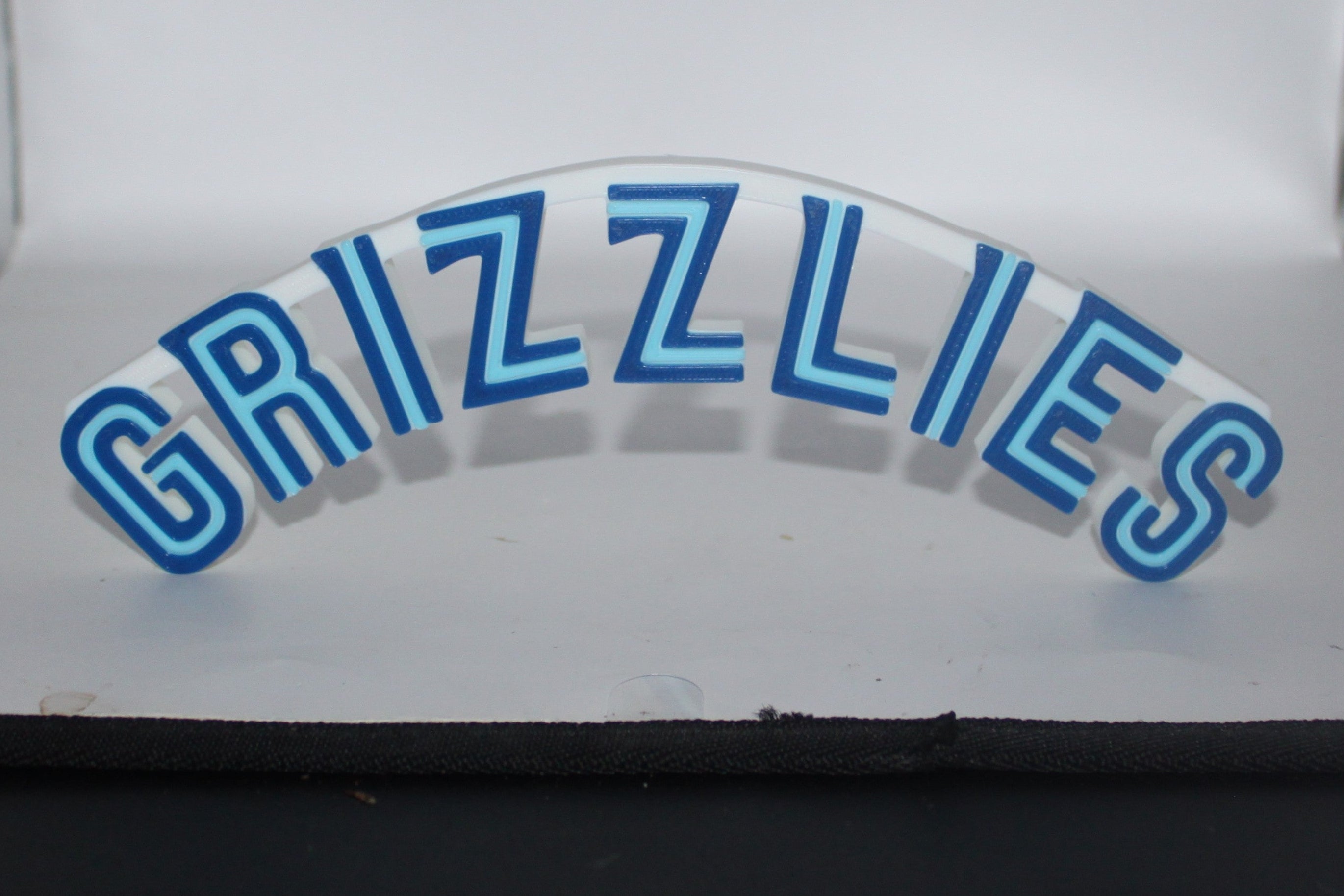 Memphis Grizzlies 3D printed Logo Sign Wall Desk Shelf Art – WindyCity3D