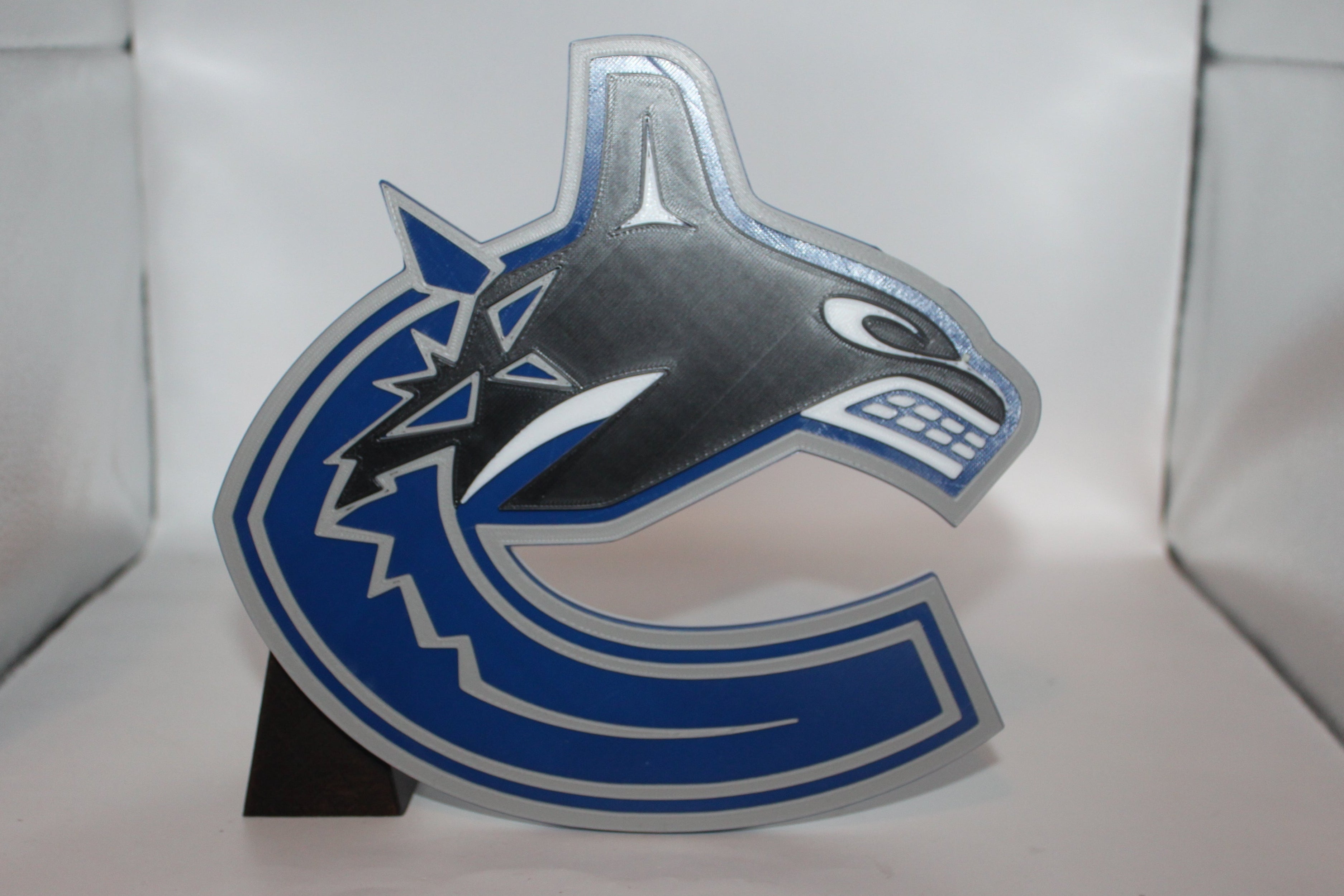 Vancouver Canucks 3D printed Logo Sign Wall Desk Shelf Art – WindyCity3D